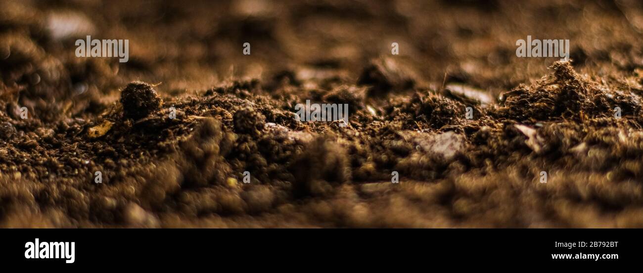 Earth ground texture as background, nature and environmental backdrop ...