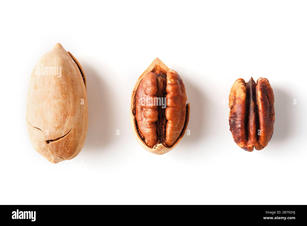 Set of three pecans in the center in a shell, peeled and without a ...