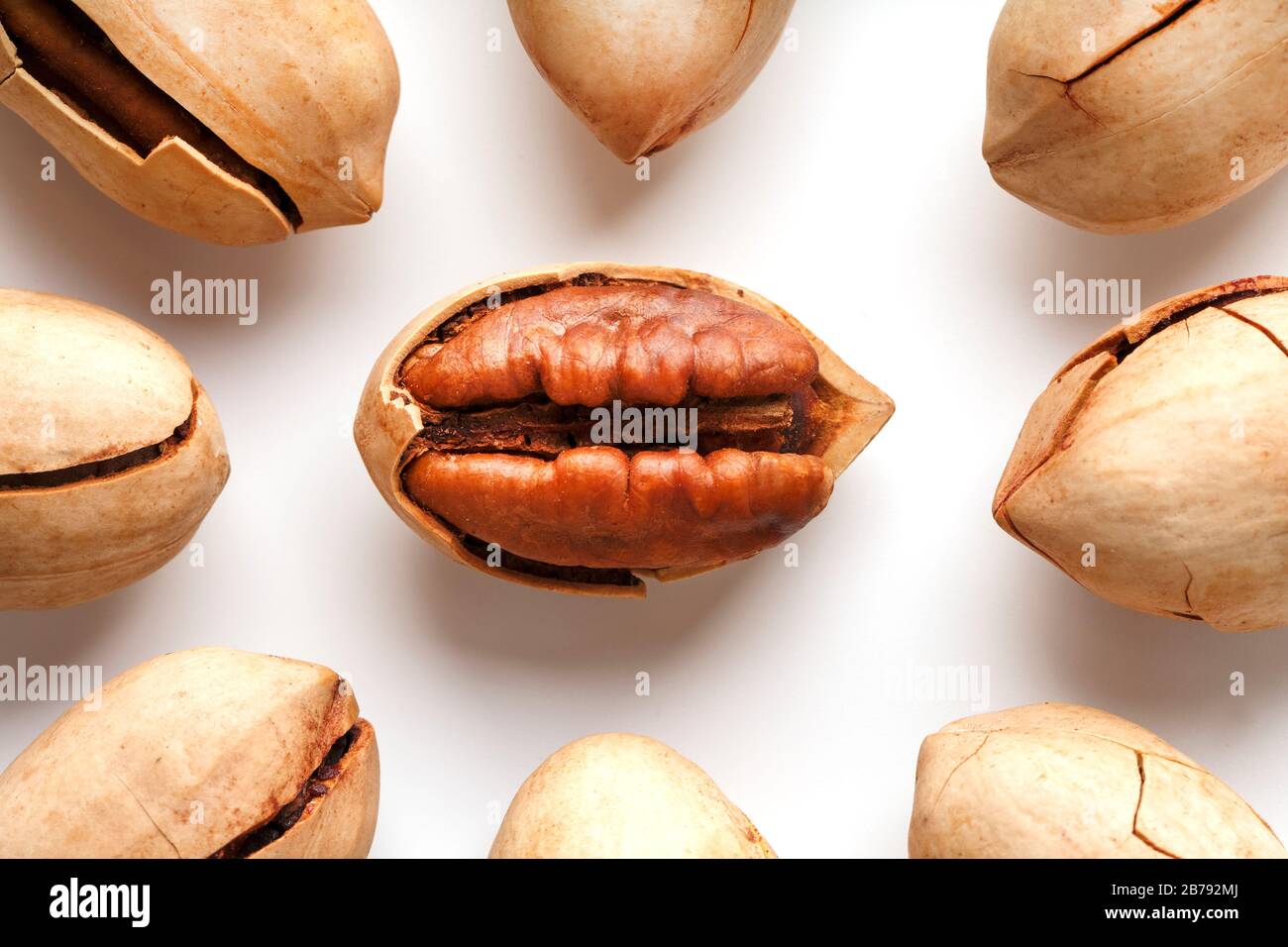 Pecan Shell Half
