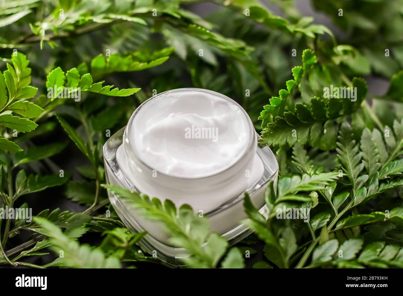 Face cream moisturizer jar in green garden, natural herbal skincare ...