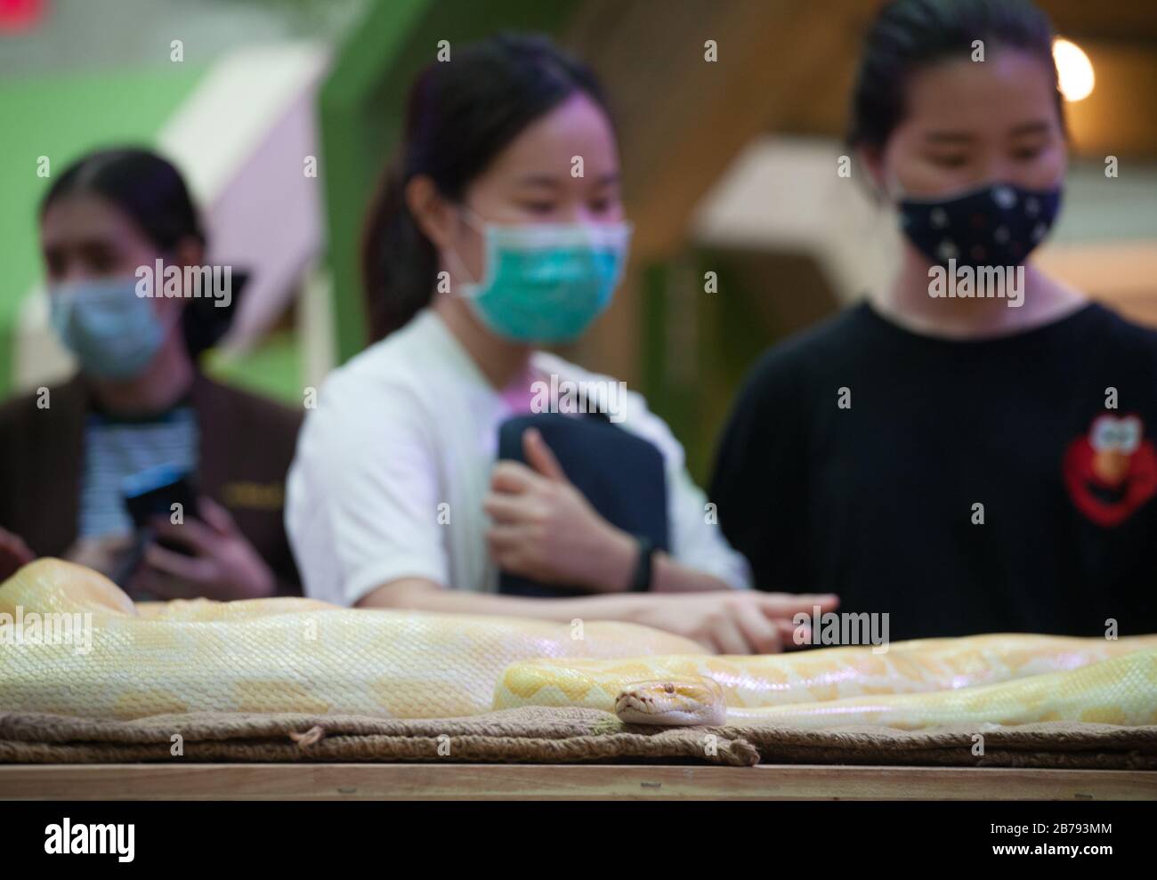 Bangkok, Thailand. 14th Mar, 2020. People look at a snake while wearing ...