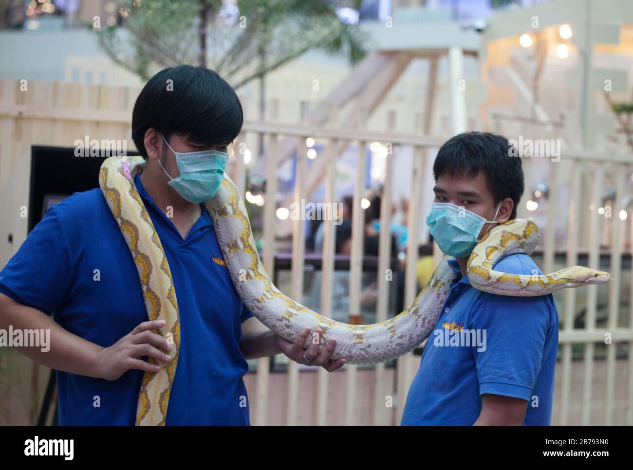 Bangkok, Thailand. 14th Mar, 2020. Men hold a snake while wearing ...