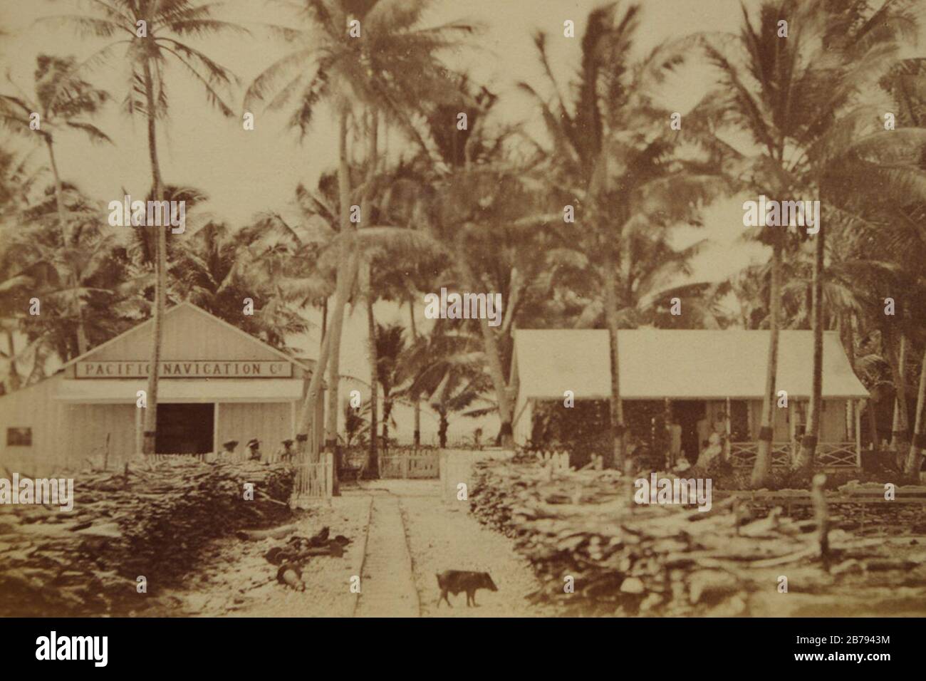 German colonial album 1880s Stock Photo - Alamy