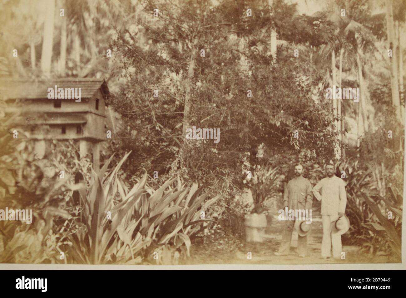 German colonial album 1880s Stock Photo - Alamy