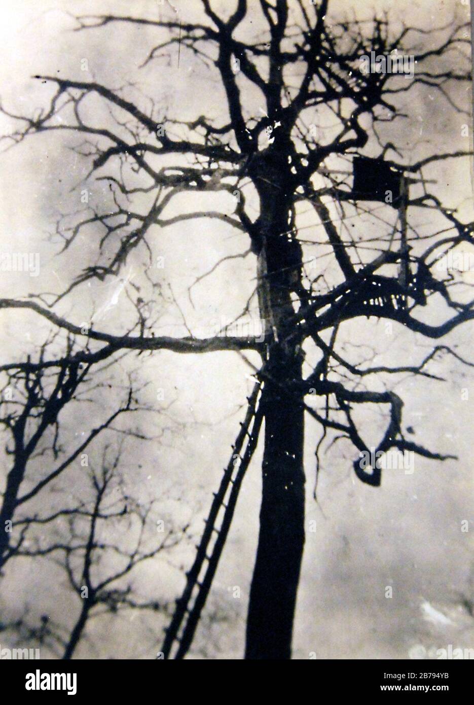 German observation post and machine gun in Belleau Wood, France, WWI ...