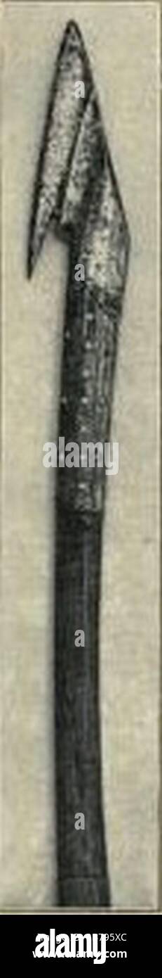 German type battle axe Stock Photo - Alamy