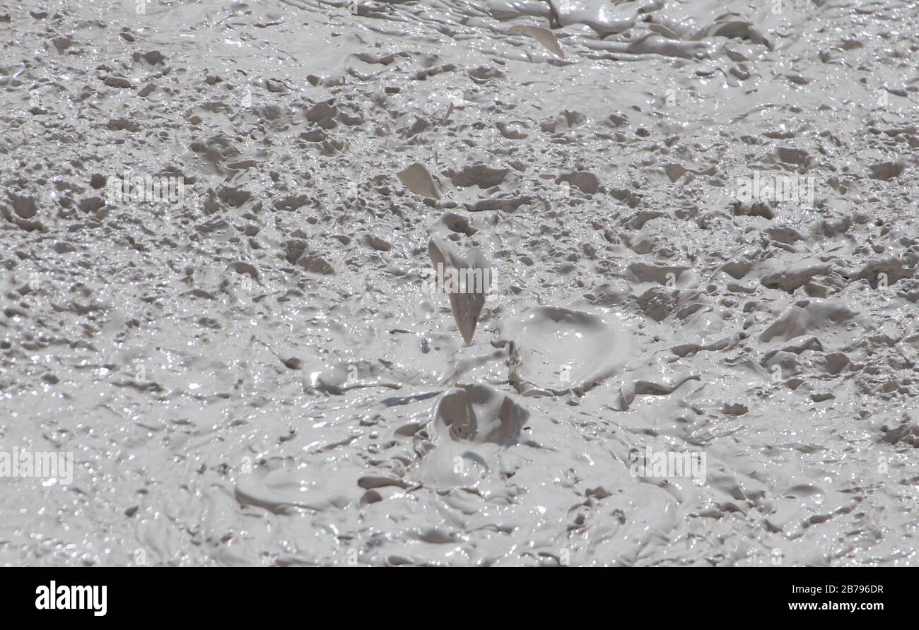 Boiling mud puddle at Yellowstone park Stock Photo - Alamy