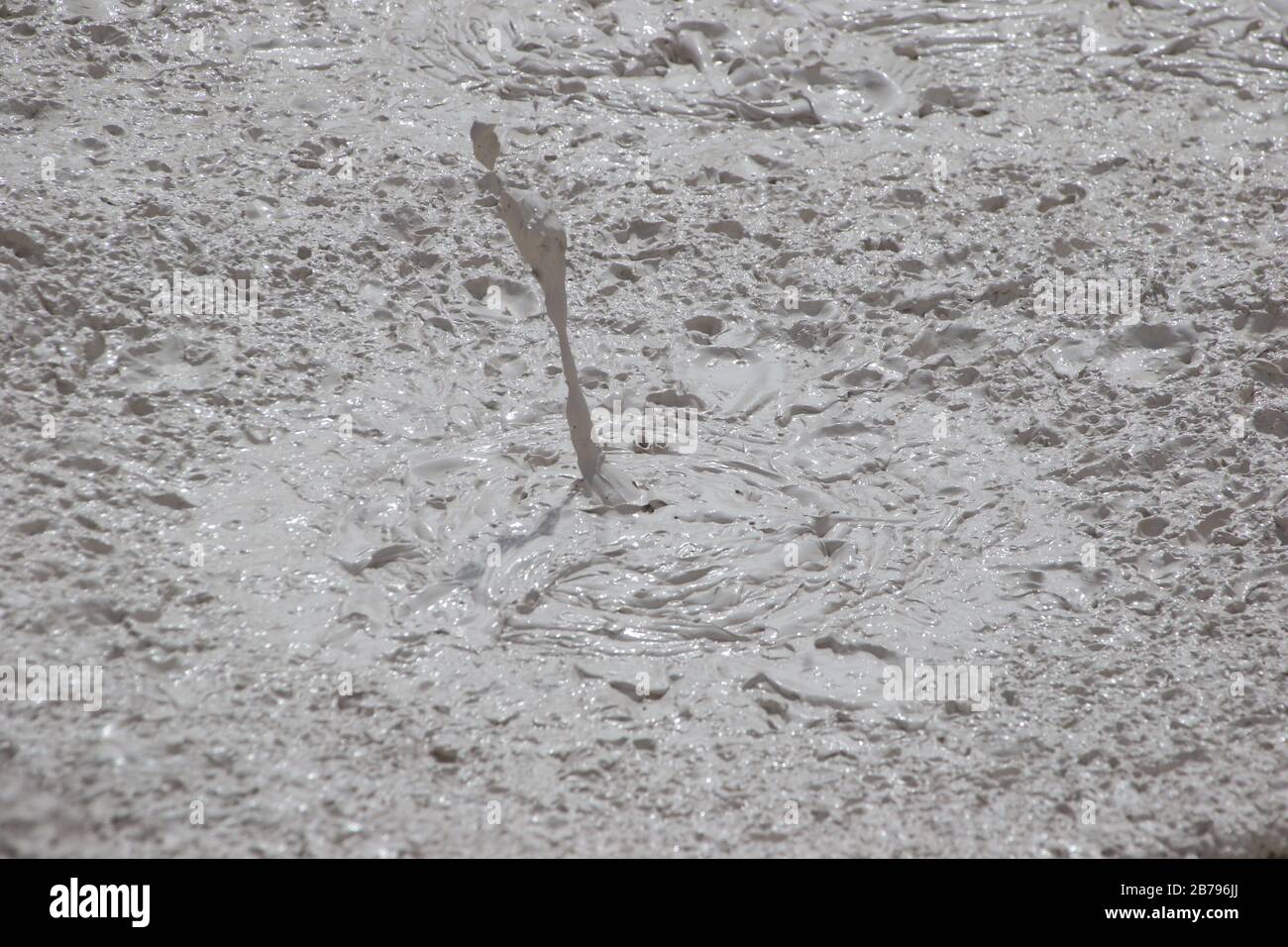 Boiling mud puddle at Yellowstone park Stock Photo - Alamy