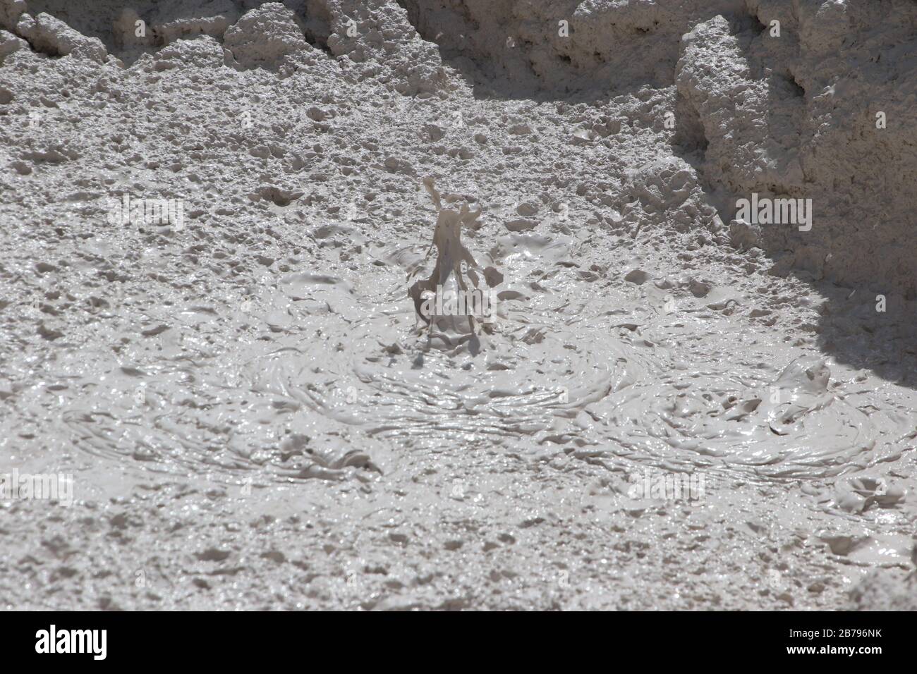 Boiling mud puddle at Yellowstone park Stock Photo - Alamy