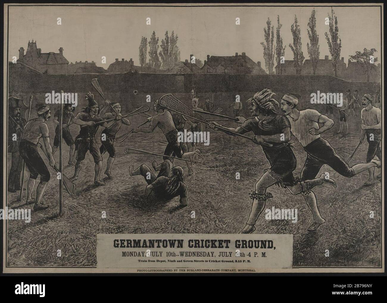 Germantown cricket hi-res stock photography and images - Alamy