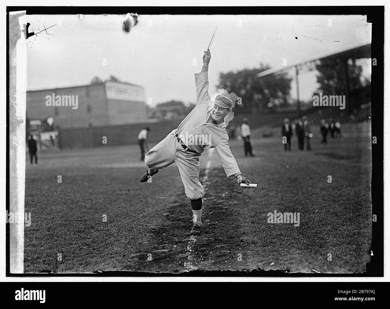 Germany schaefer hi-res stock photography and images - Alamy