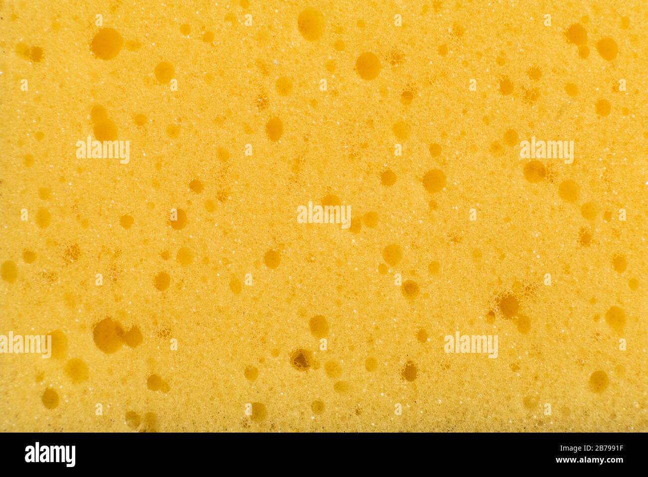 Sponge texture background Stock Photo - Alamy