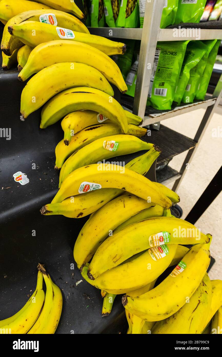 Yellow Banana Grocery Store at Phyllis Bolick blog