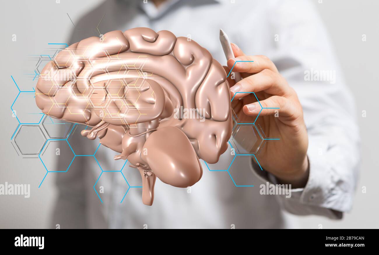 A brain digital idea mind concept Stock Photo - Alamy