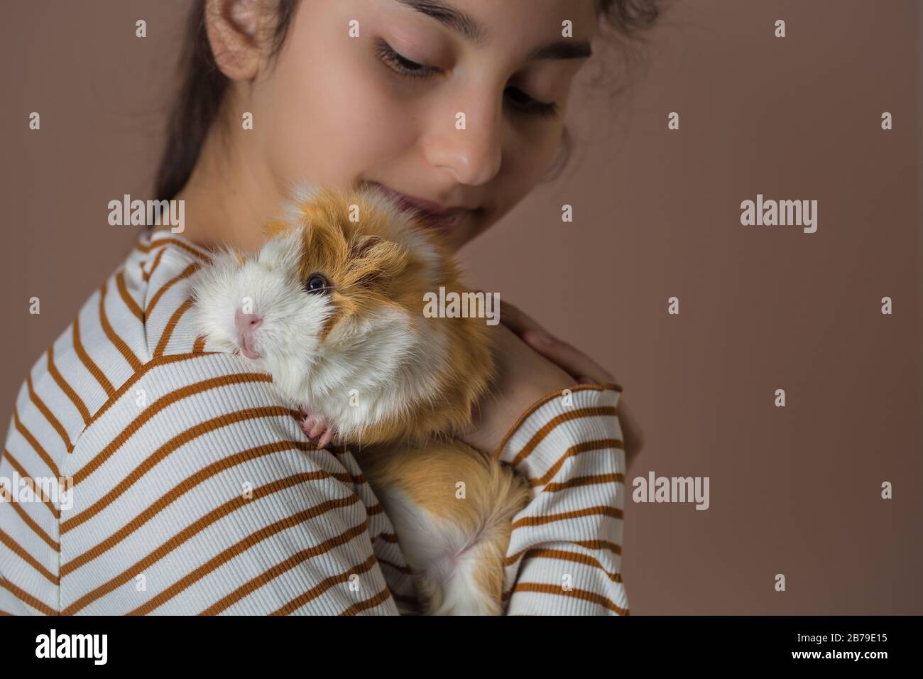 Adolescent girl holding her guinea pig .Love of animals concept Stock ...