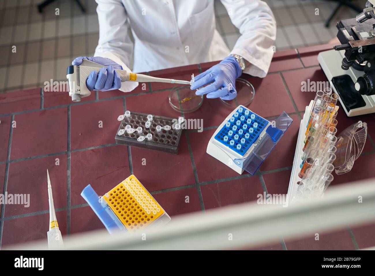 scientict in lab analysis of new corona virus, clinic laboratory ...