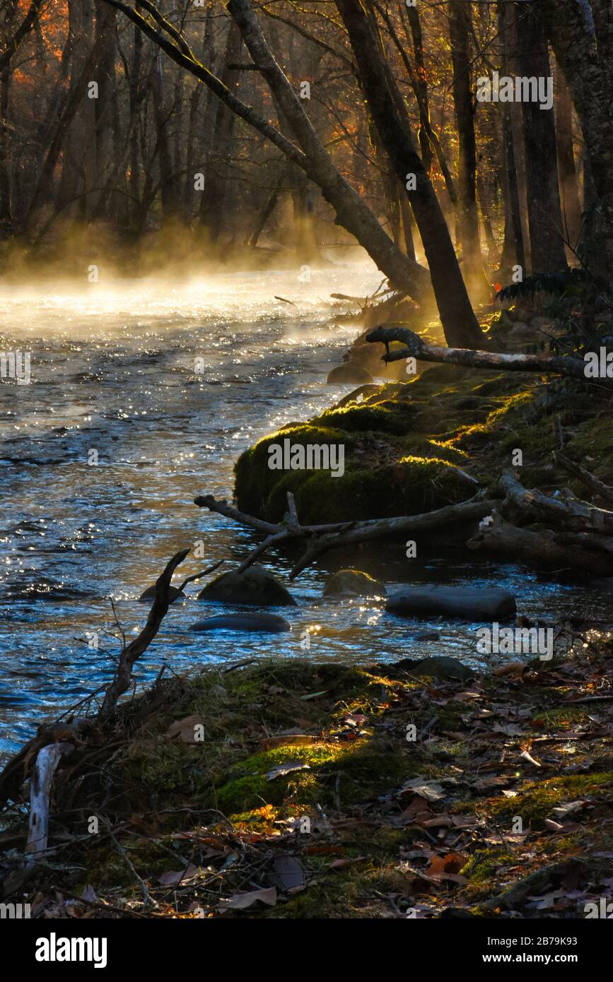Golden hour river hi-res stock photography and images - Alamy