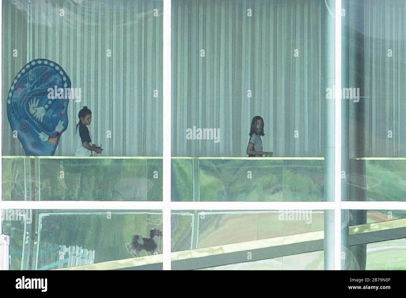 BRASÍLIA, DF - 14.03.2020: BOLSONARO CAMINHA NO ALVORADA - The first ...