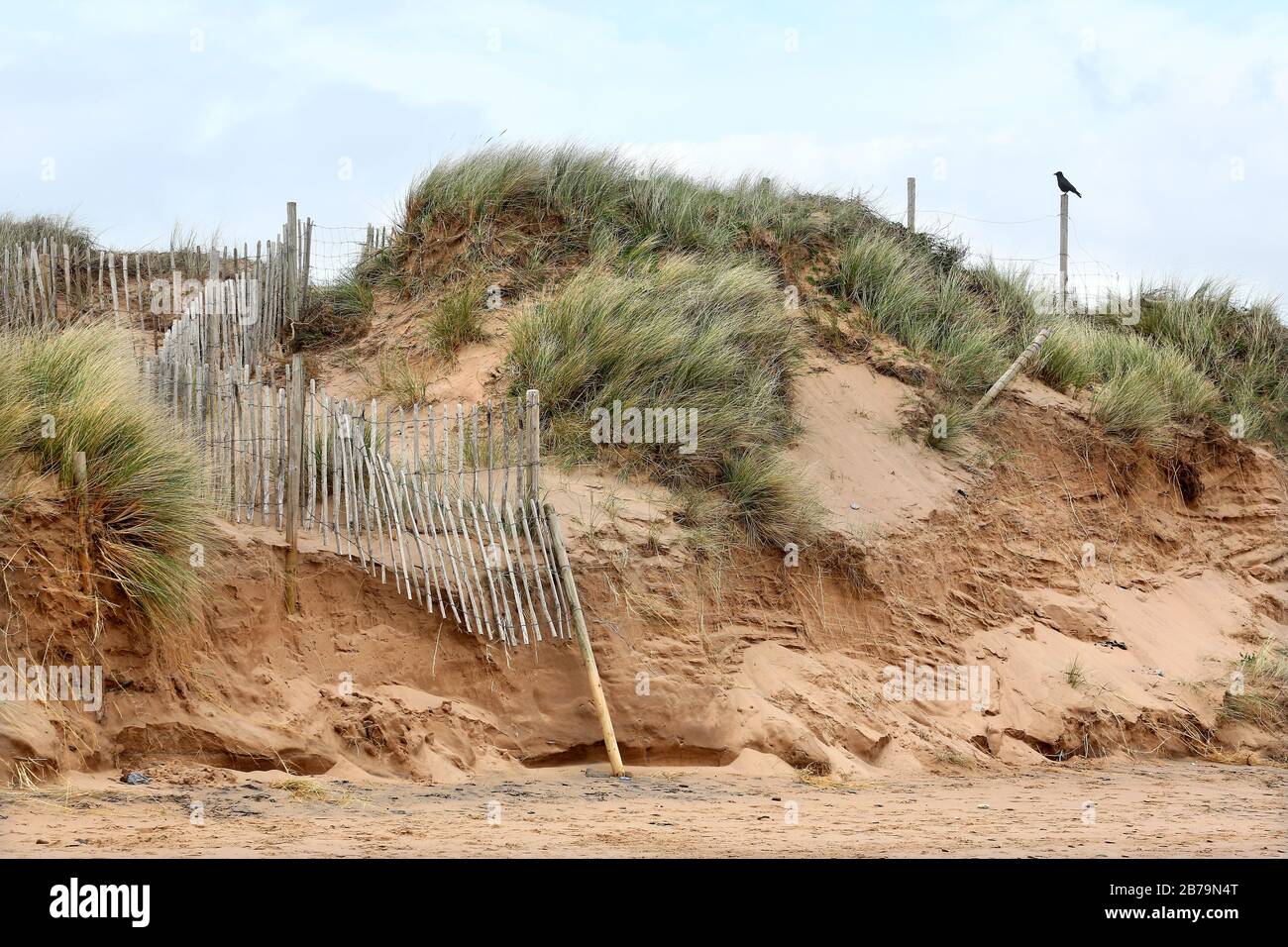 Coastal erosion caused by recent storms to the beach at Dawlish Warren ...