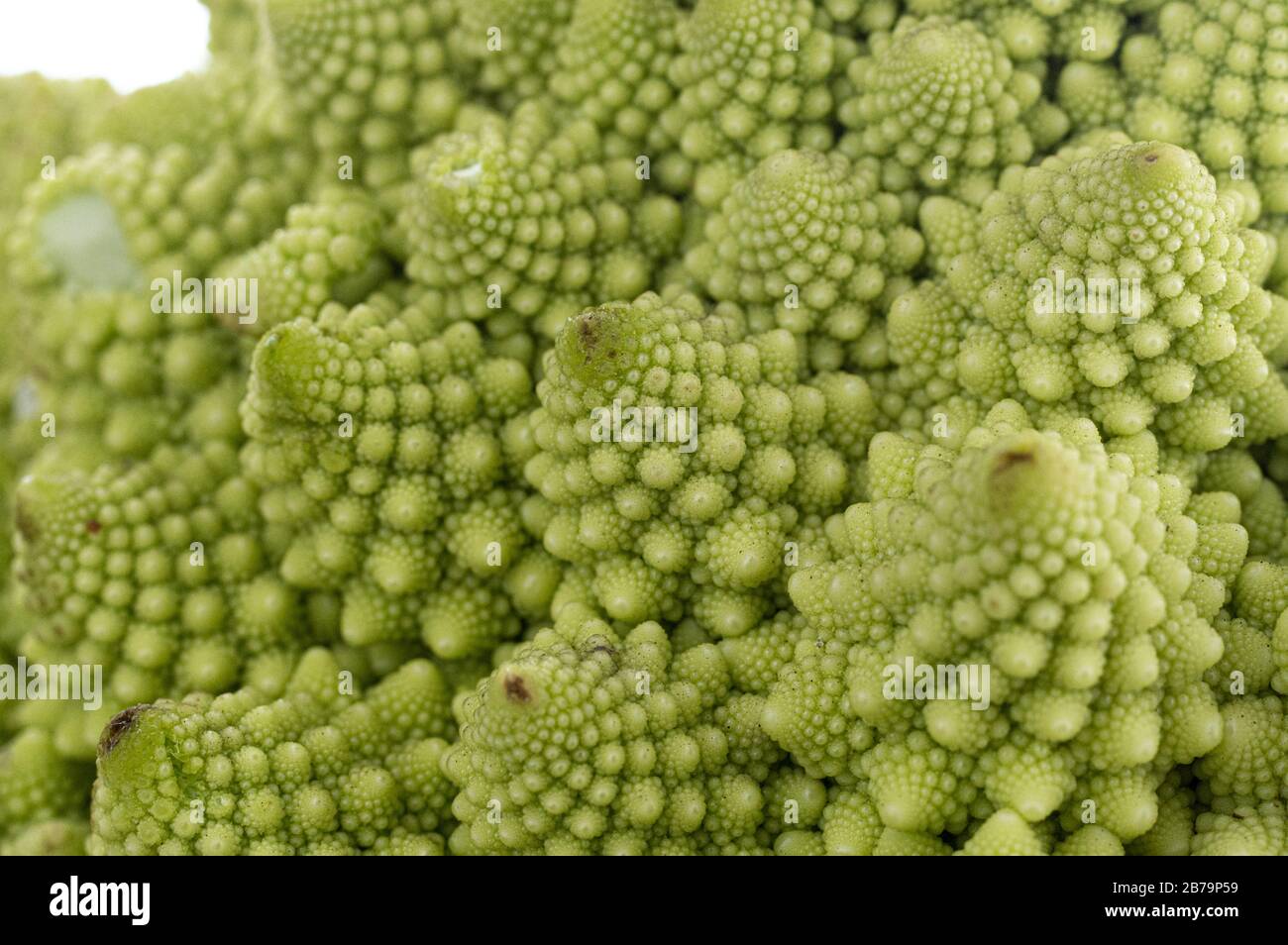 Macro photo of Brassica oleracea. Texture and pattern of Brassica ...
