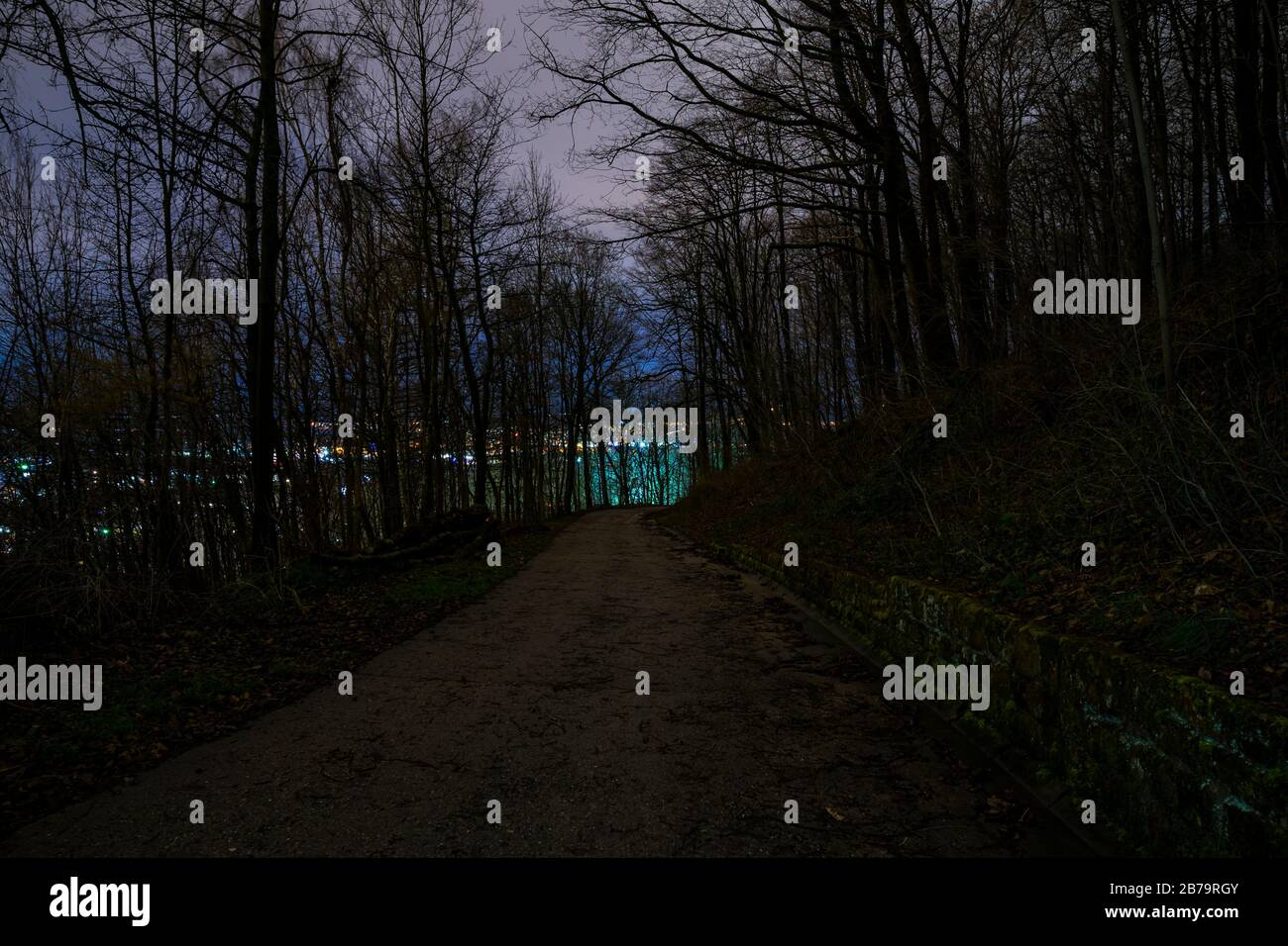 Way through the forest in the middle of the dark night with city lights ...