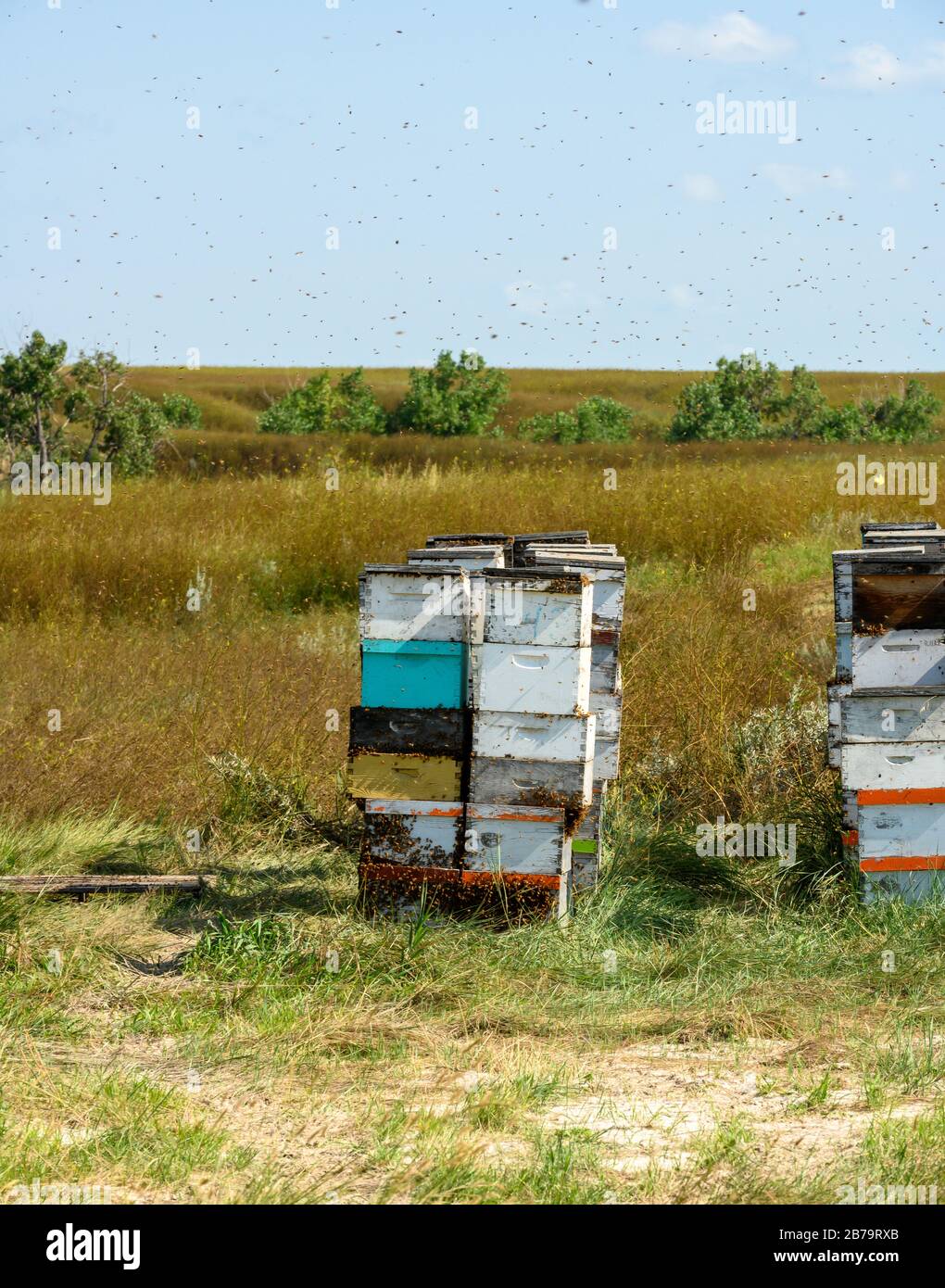 Beekeeping Boxes High Resolution Stock Photography and Images - Alamy