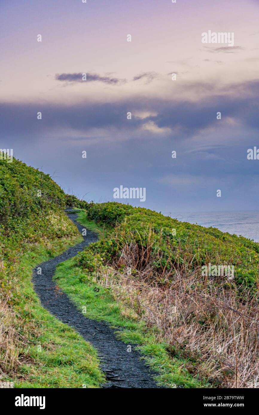 Black Trail Cuts Through Green Grass along Pacific coast Stock Photo ...
