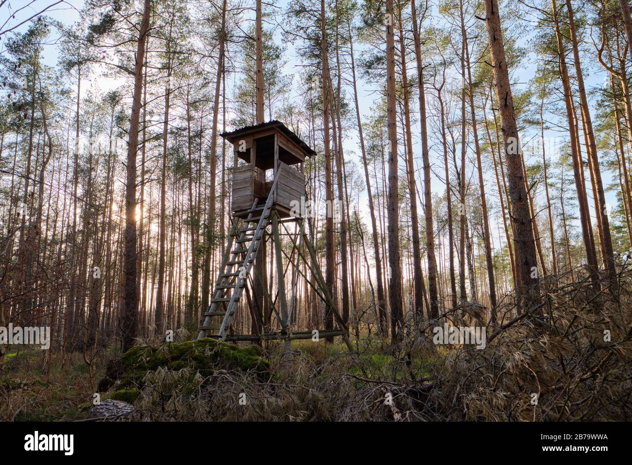 Hunt seat hi-res stock photography and images - Alamy