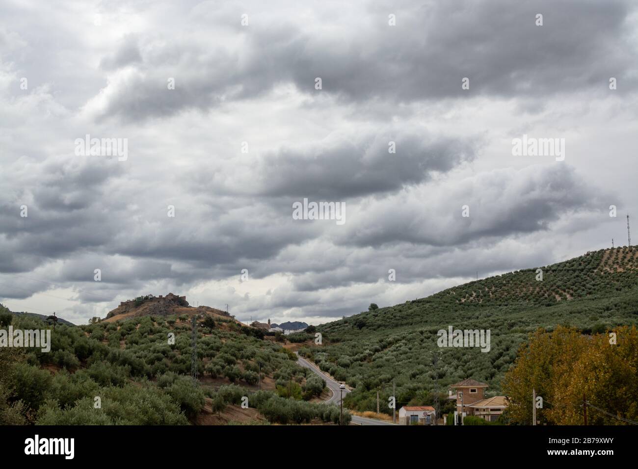 Andalusian landscape with yellow hills and green olive trees ...