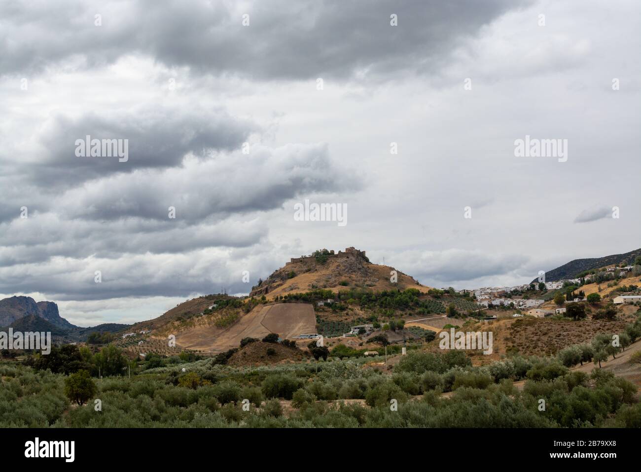 Andalusian landscape with yellow hills and green olive trees ...