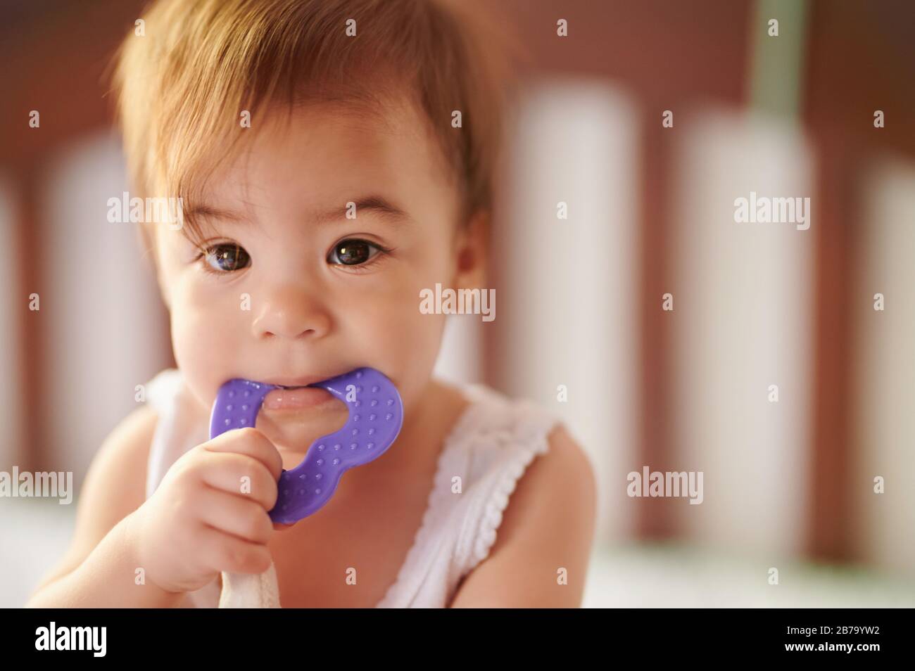 Portrait of baby biting purple toy. Itchy kid teeth theme Stock Photo ...