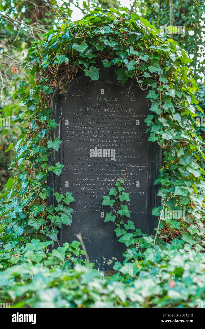 Old forgotten cemetery abandoned graves hi-res stock photography and ...
