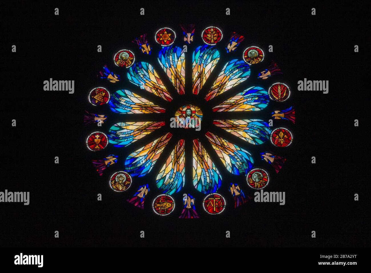 Nelson is a cathedral city on New Zealand's South Island. It is a ...