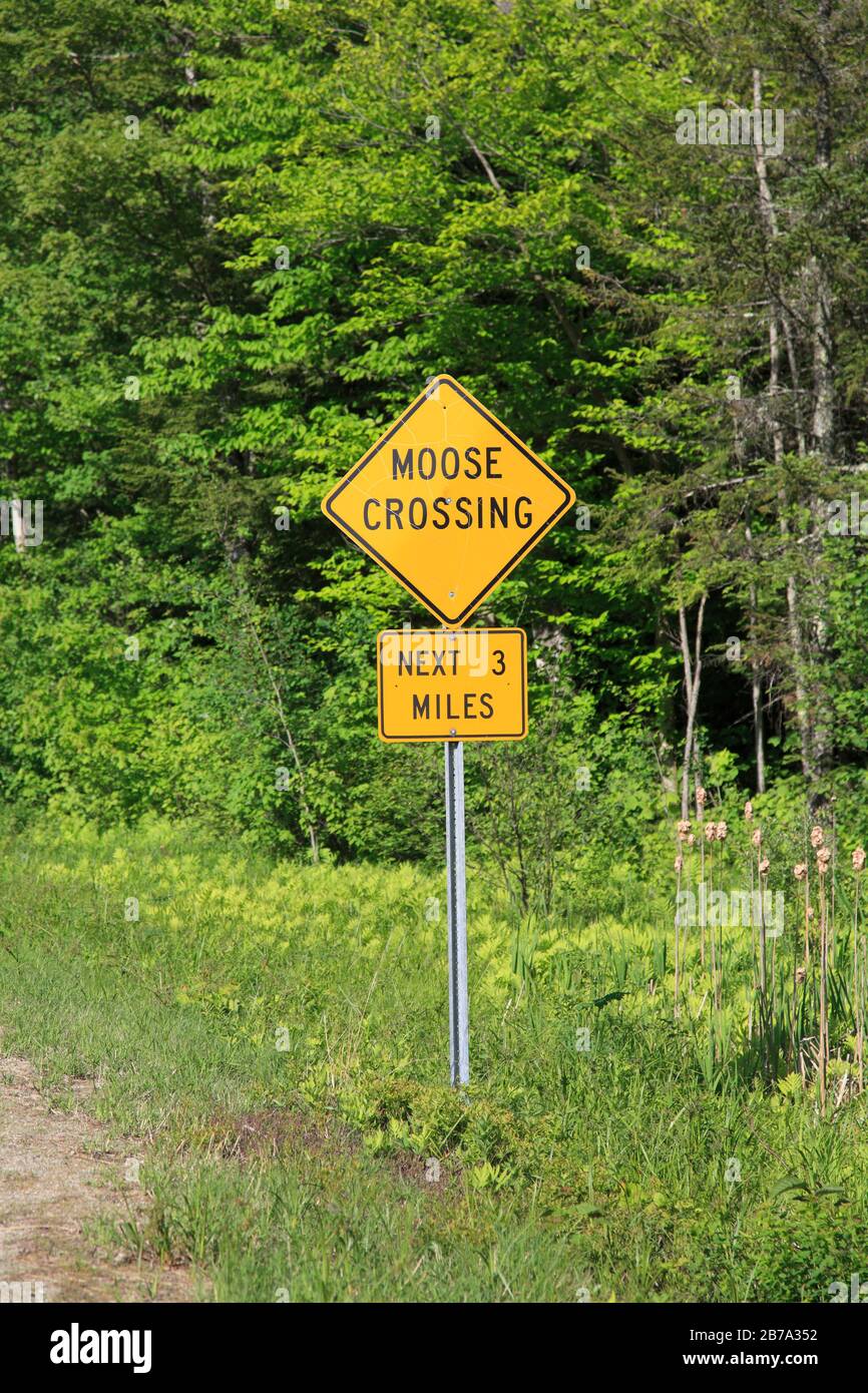 Moose crossing sign hi-res stock photography and images - Alamy
