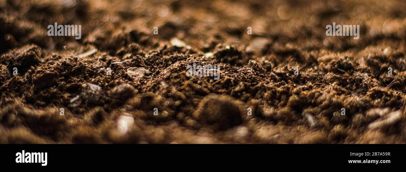 Earth ground texture as background, nature and environmental backdrop ...