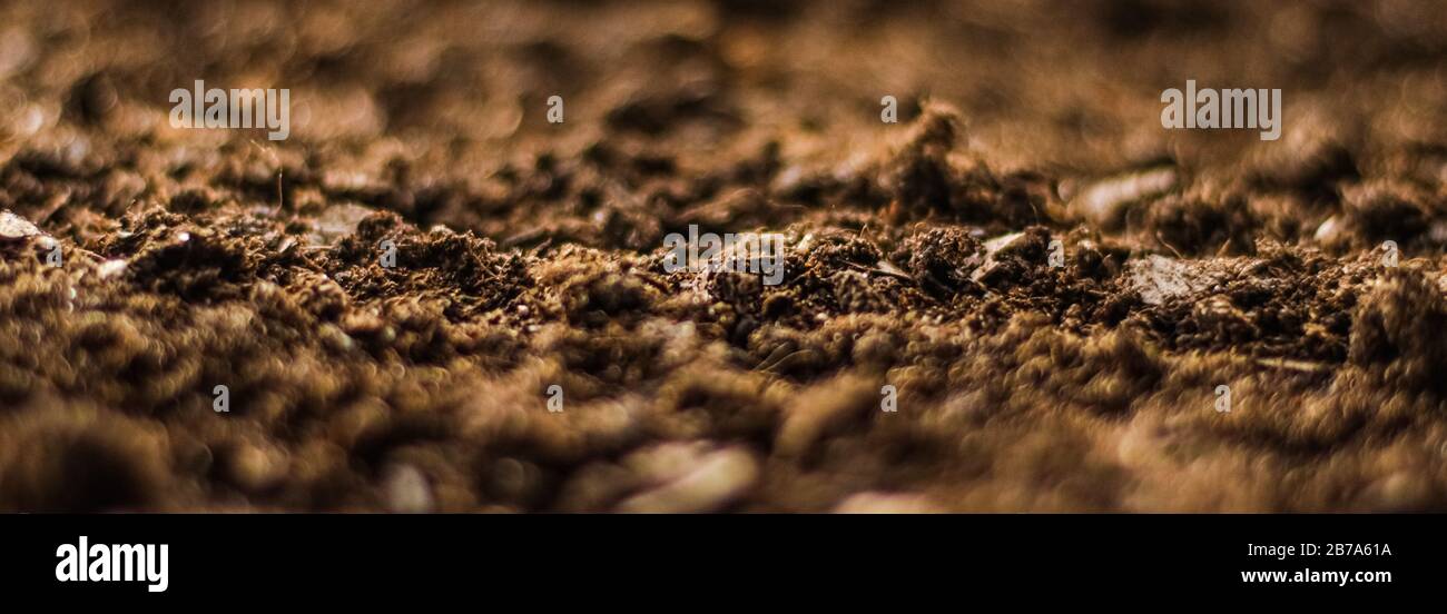 Earth ground texture as background, nature and environmental backdrop ...