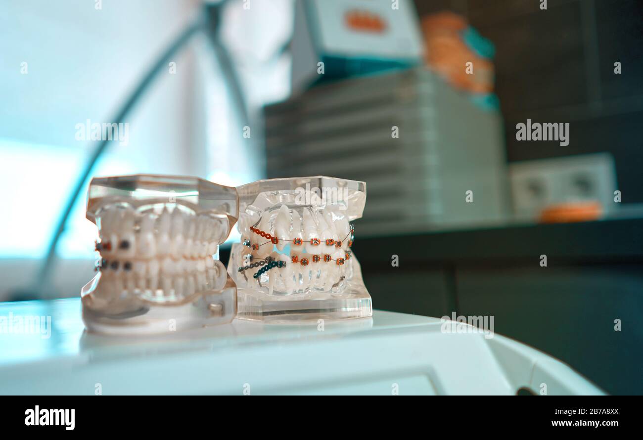 Dentist toothbrush layout human hi-res stock photography and images - Alamy