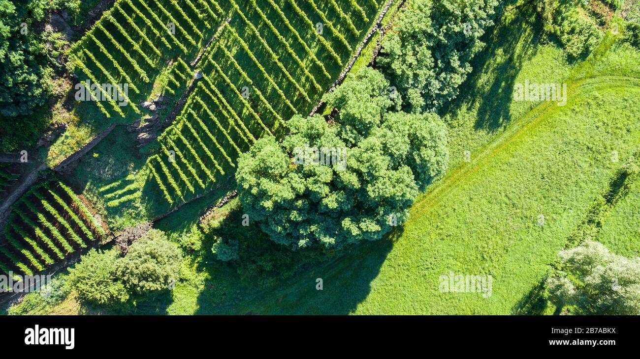 drawings with green - aerial view Stock Photo - Alamy
