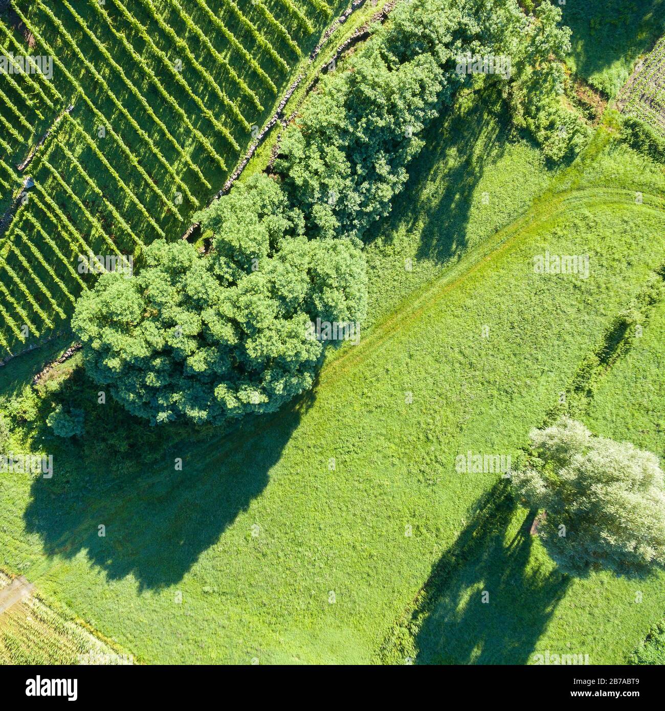 drawings with green - aerial view Stock Photo - Alamy