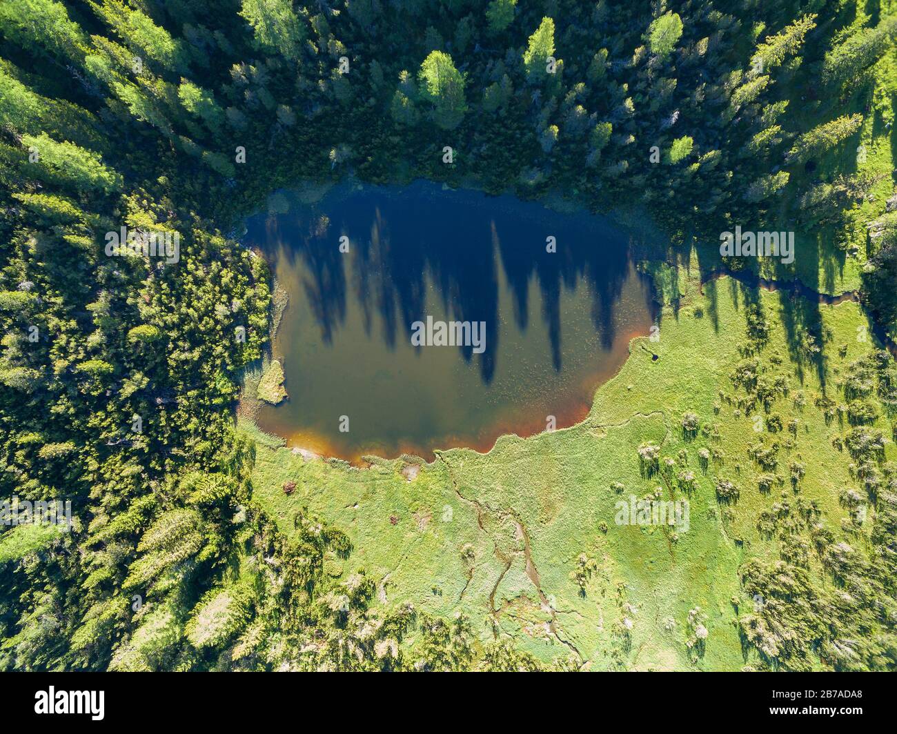 pond with a stream seen from above Stock Photo - Alamy