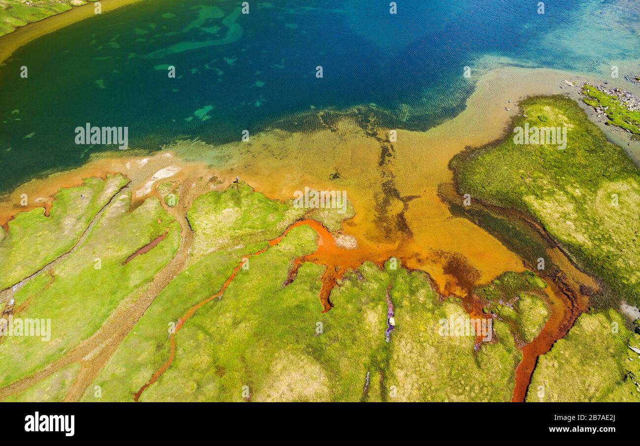 Swampy pond hi-res stock photography and images - Alamy