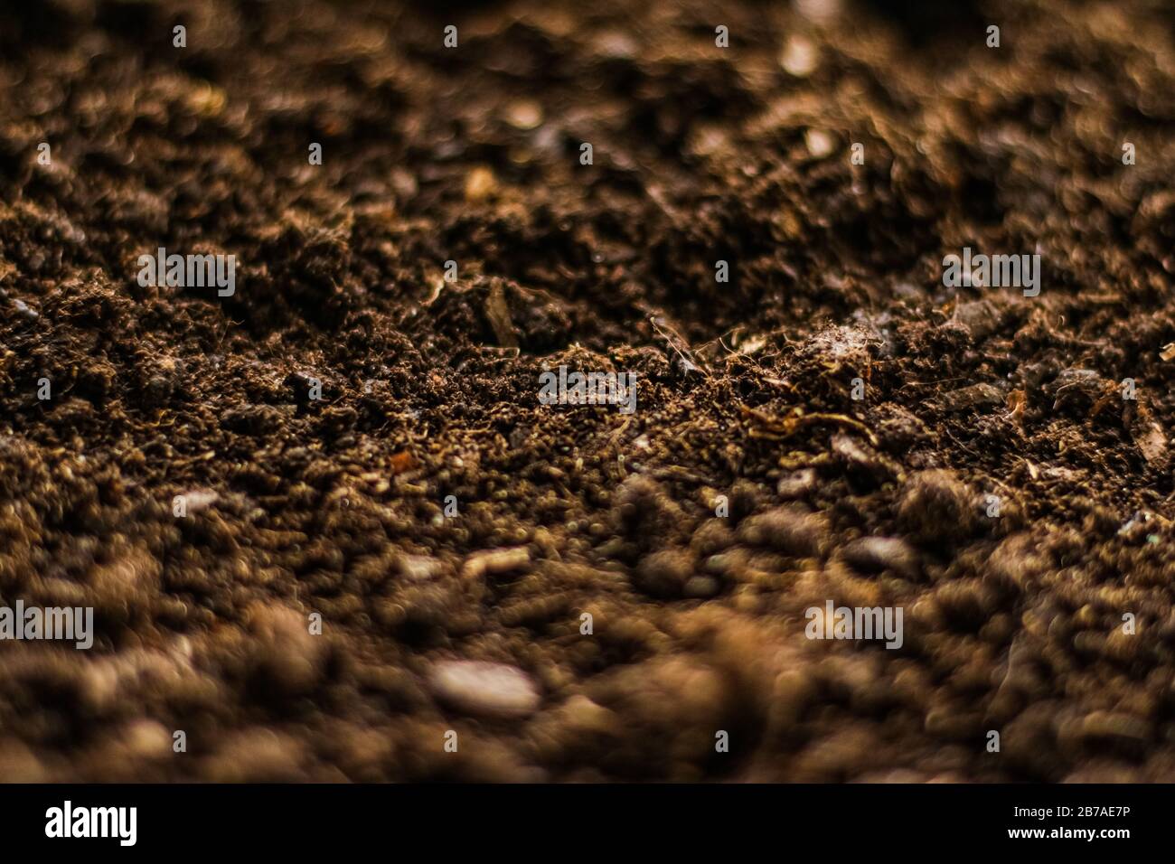 Earth ground texture as background, nature and environmental backdrop ...