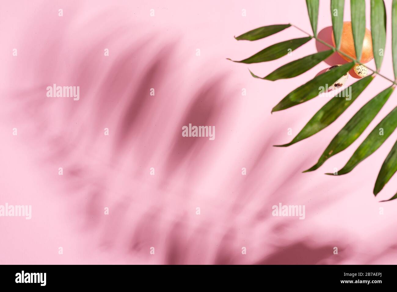 Congratulation background with handmade painted golden chicken and ...