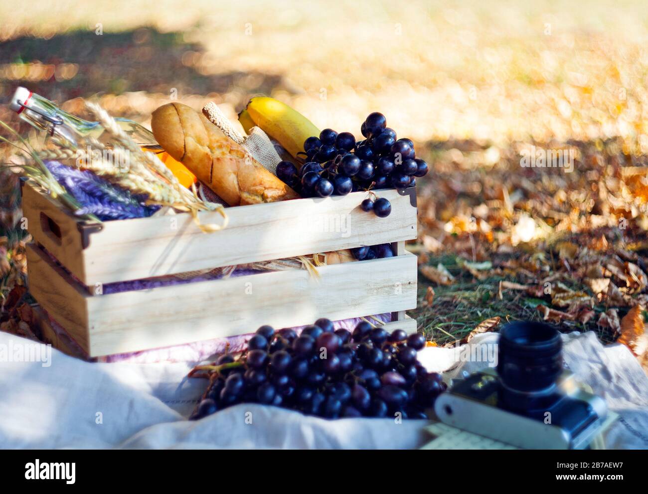 autumn picnic wooden box with fruits-grapes, bananas, Oranges and ...