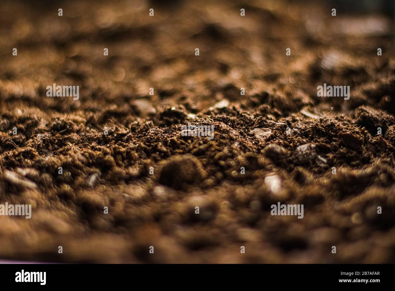 Earth ground texture as background, nature and environmental backdrop ...