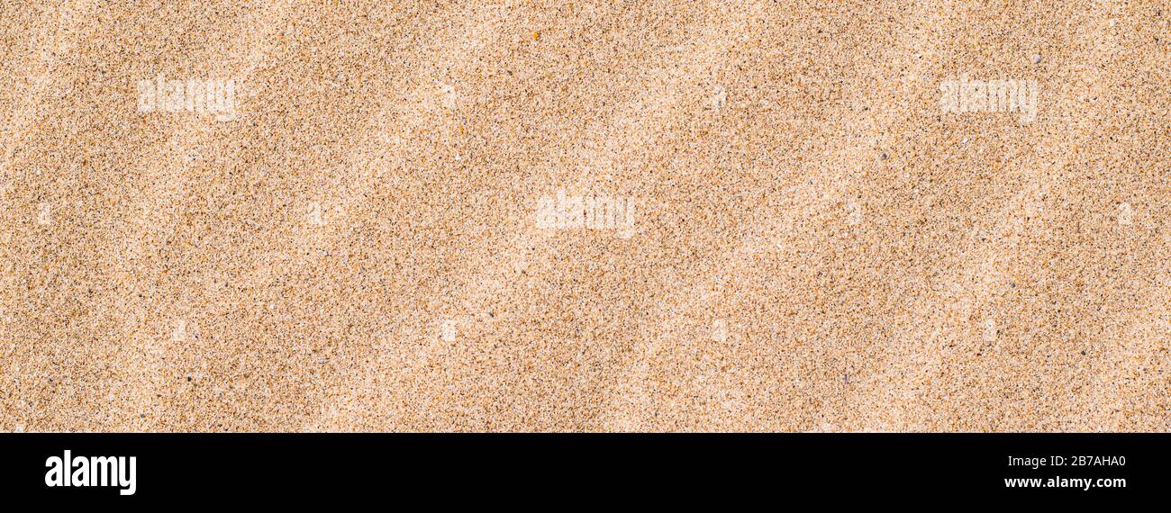 Sand on the beach in summer, texture close-up as background Stock Photo ...