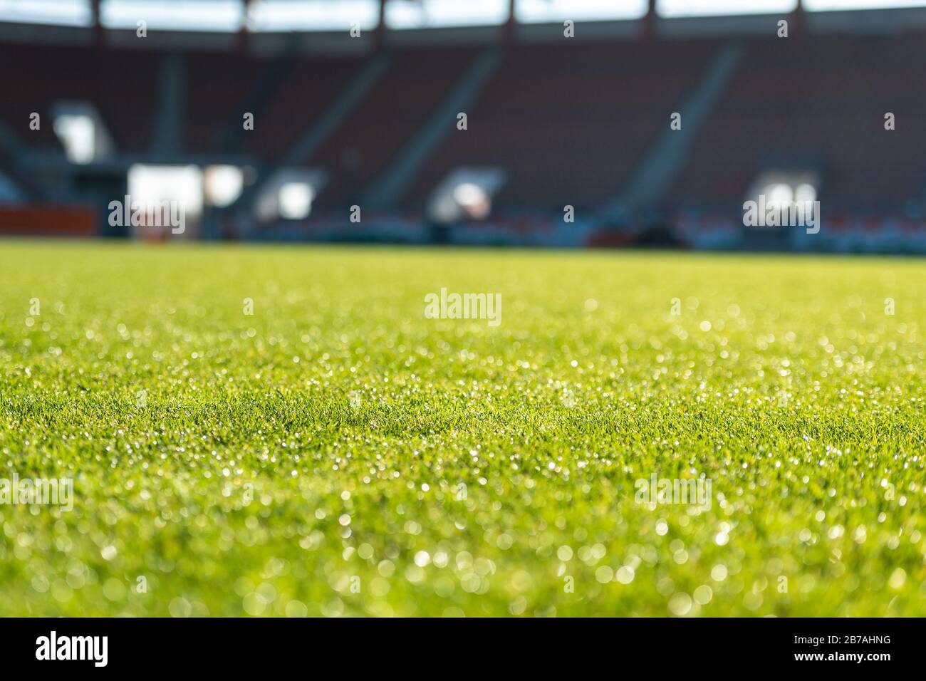 Wet grass at the football stadium Stock Photo - Alamy