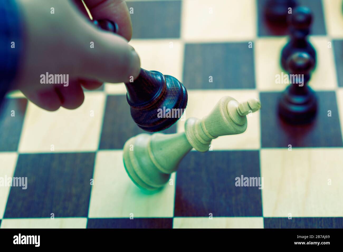playing wooden chess pieces. Chess game. The fall of the king. kings ...