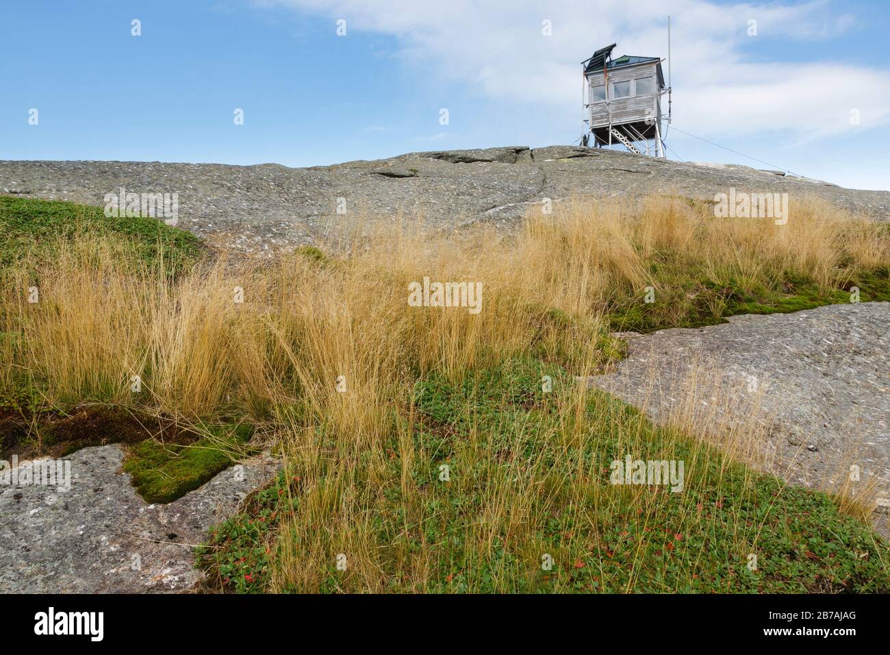 Mount Cardigan State Park - Cardigan Mountain Tower on the summit of ...