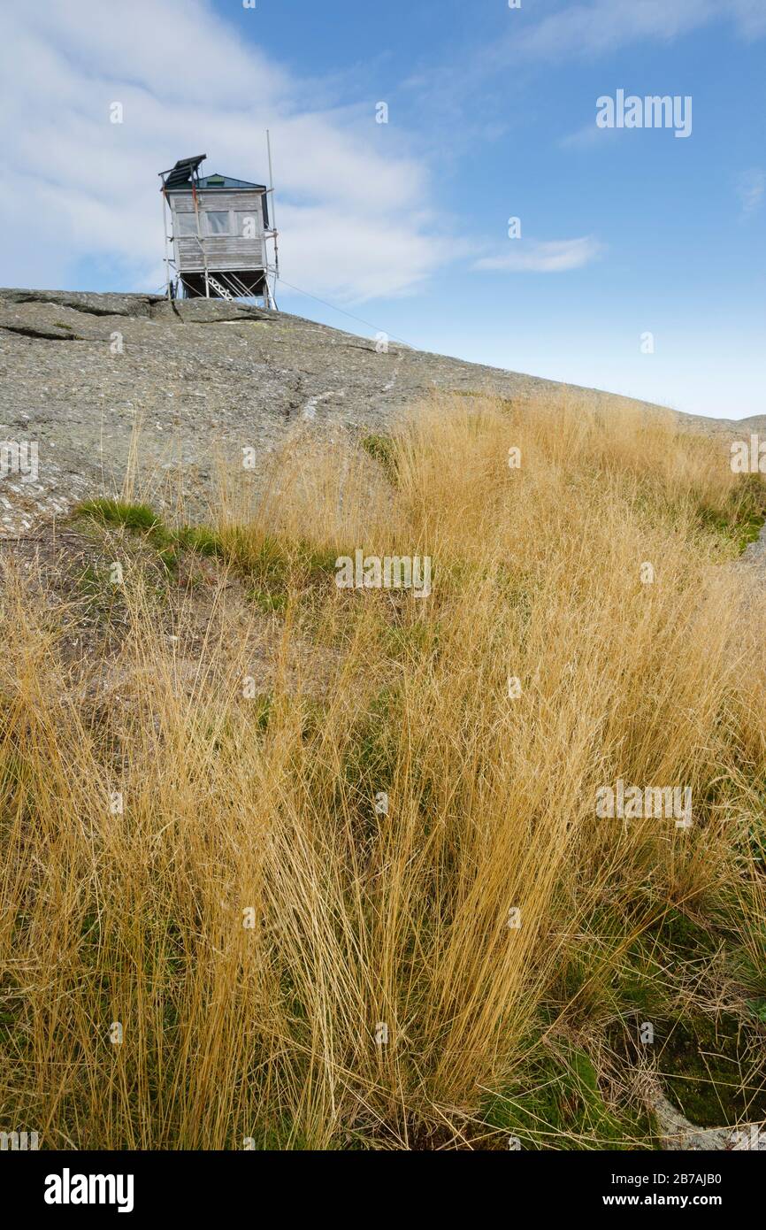 Mount Cardigan State Park - Cardigan Mountain Tower on the summit of ...